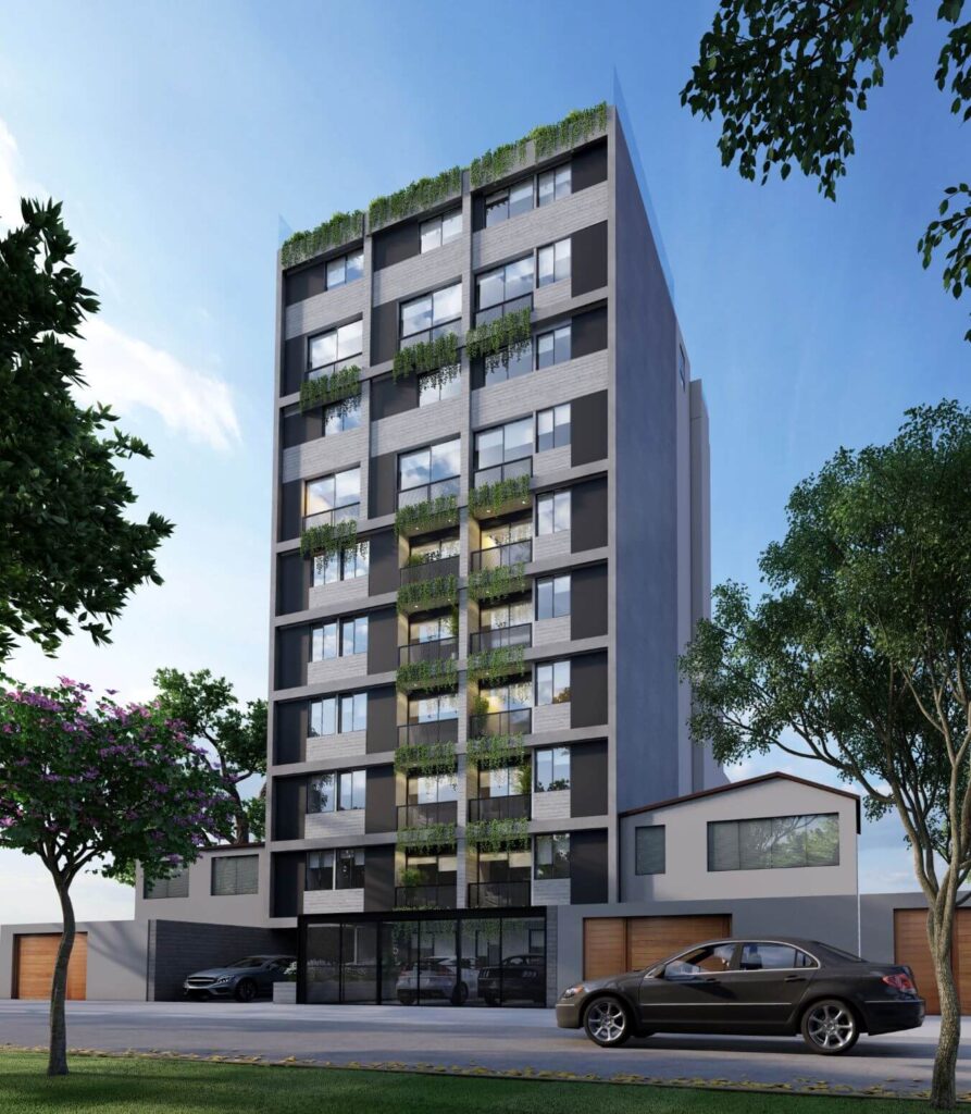 Paso chico 16 – Campo- – fitoMOREY